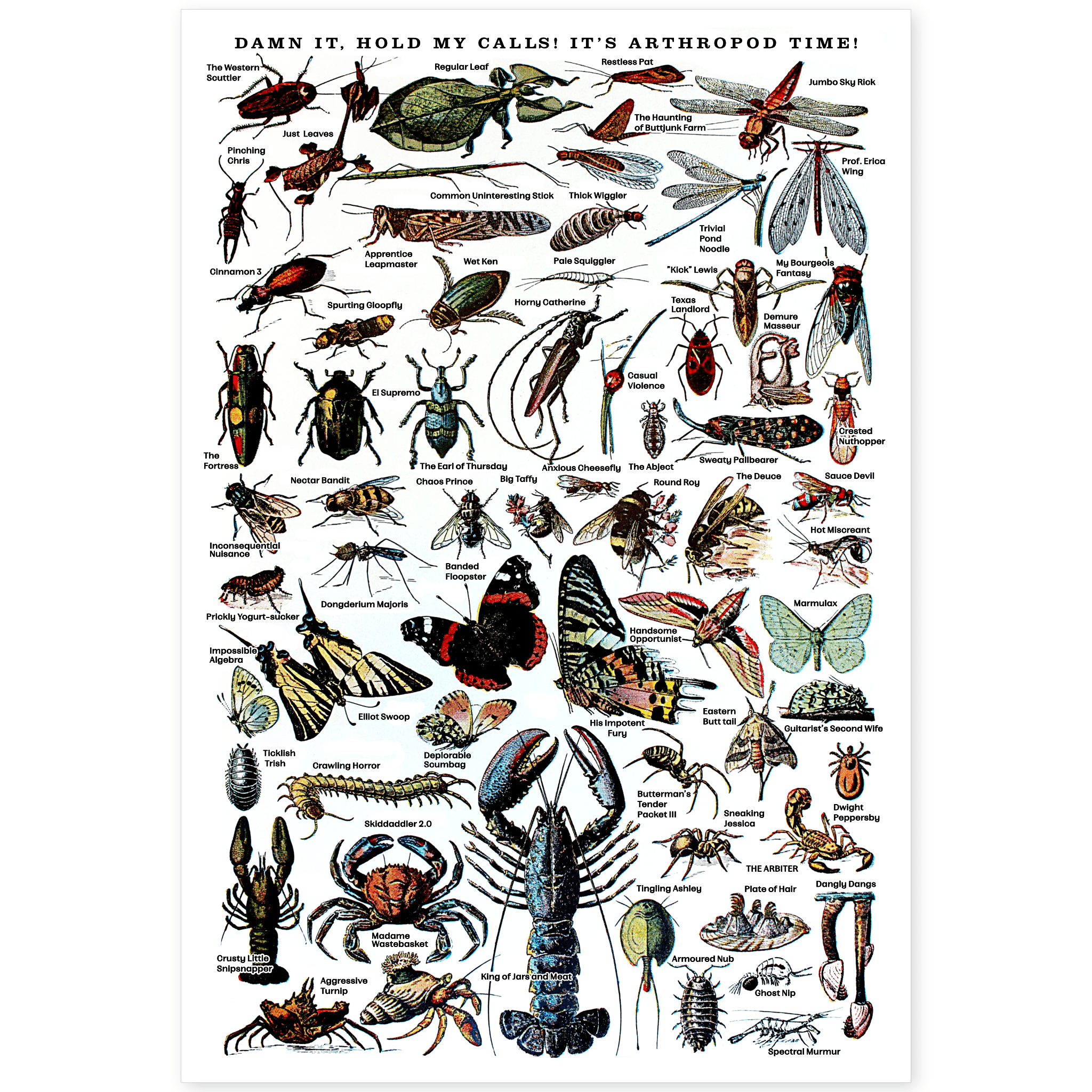 "Arthropods" Poster – Arcane Bullshit